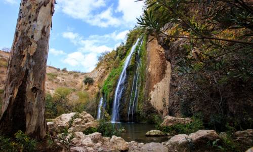 Best Waterfalls in Israel to Visit by Season